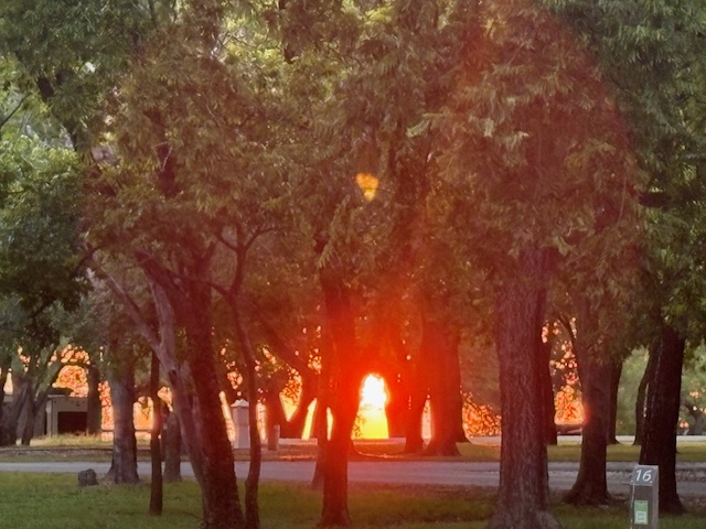 Finding the Light – Random Acts of Kindness